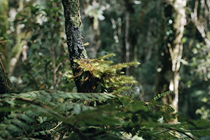 Airport winter operations: will heated runways ever take off? - Airport ...